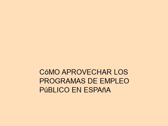 Cómo Aprovechar los Programas de Empleo Público en España - LUMBIER